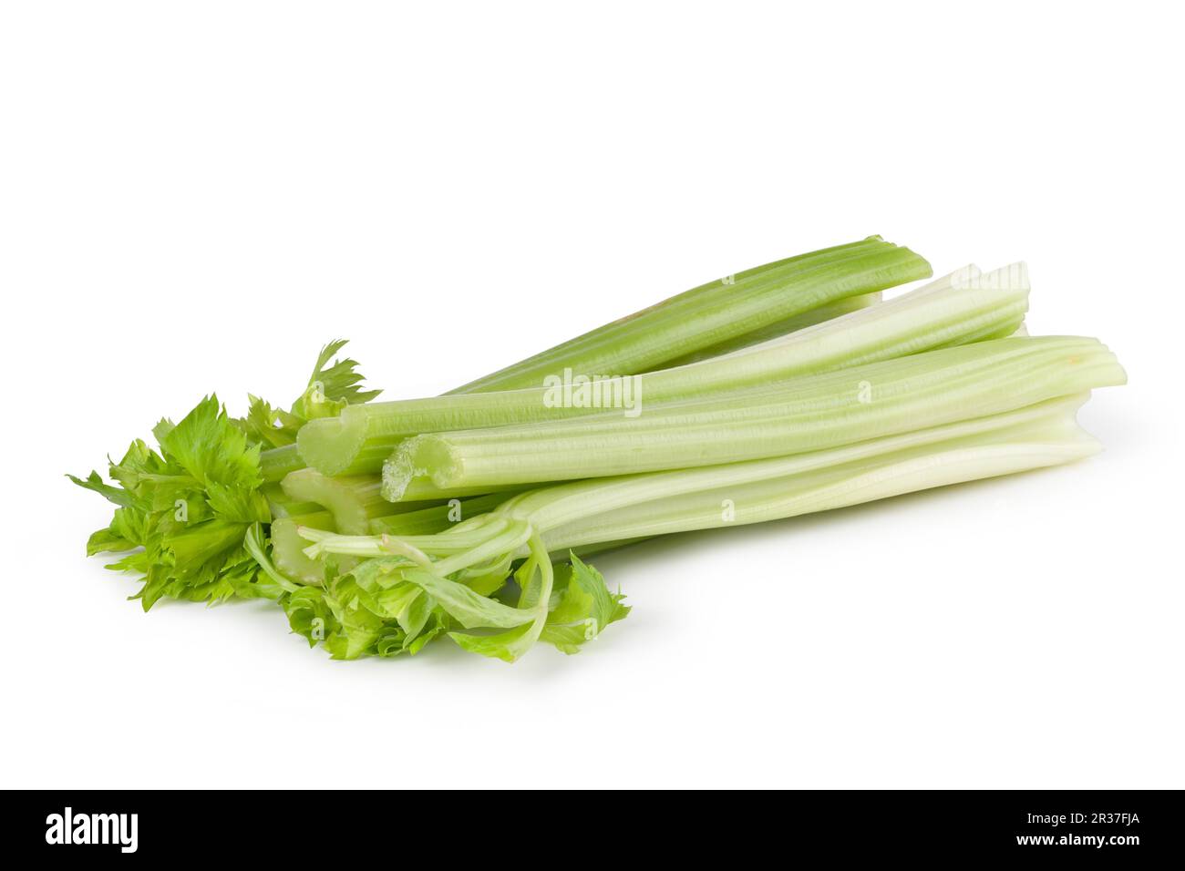 stump of celery isolated on white background Stock Photo - Alamy