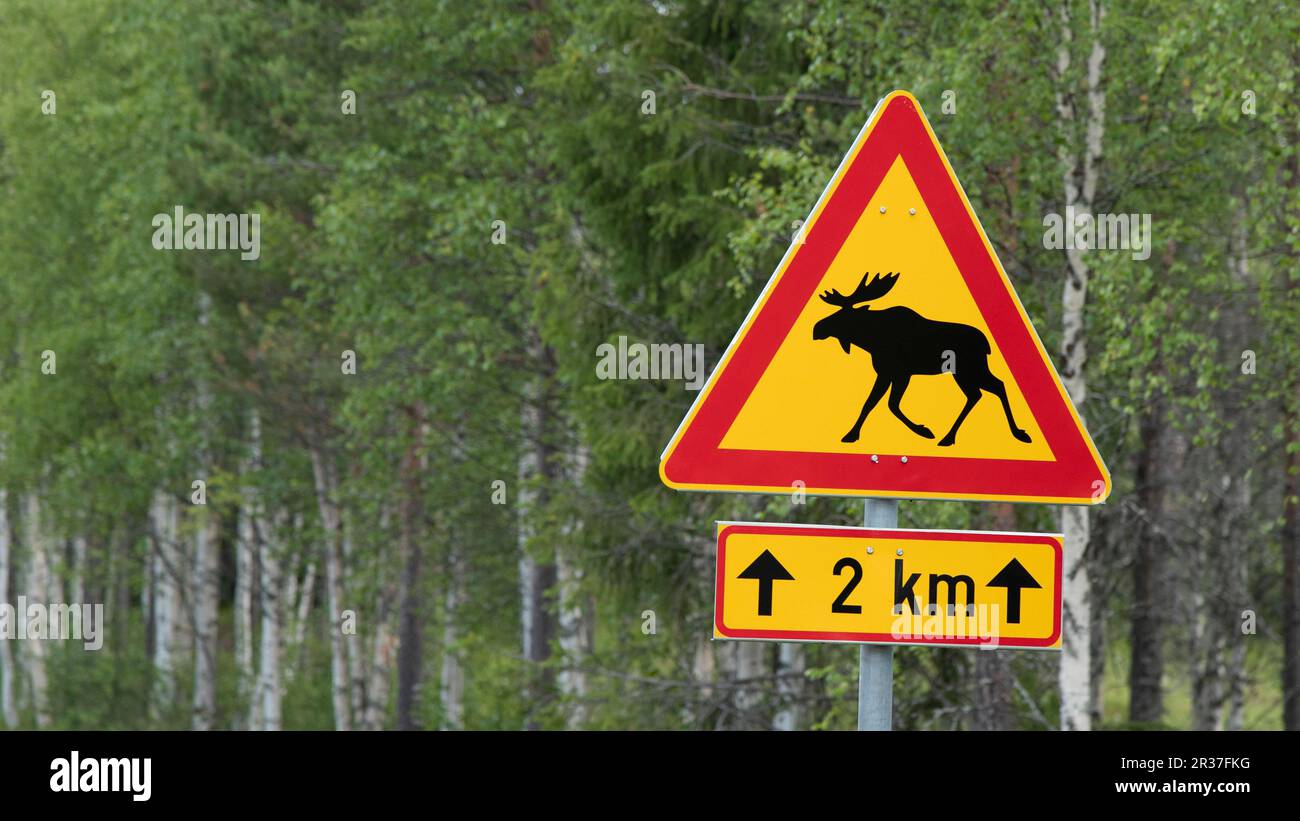 Traffic sign moose Stock Photo - Alamy