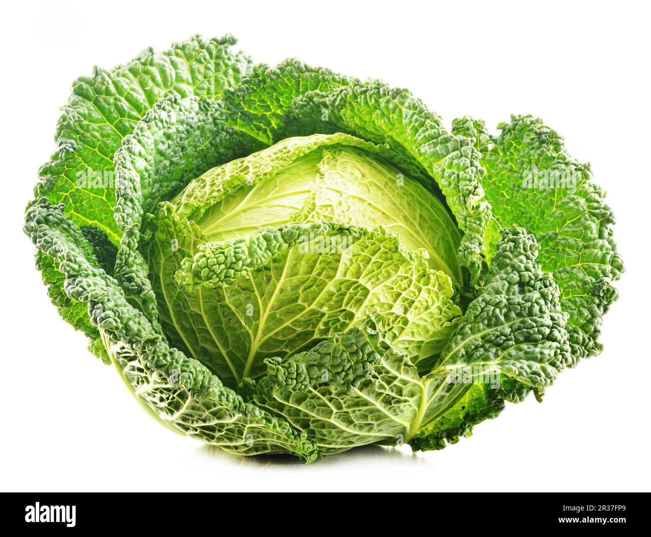 Fresh raw cabbage isolated on white background Stock Photo - Alamy