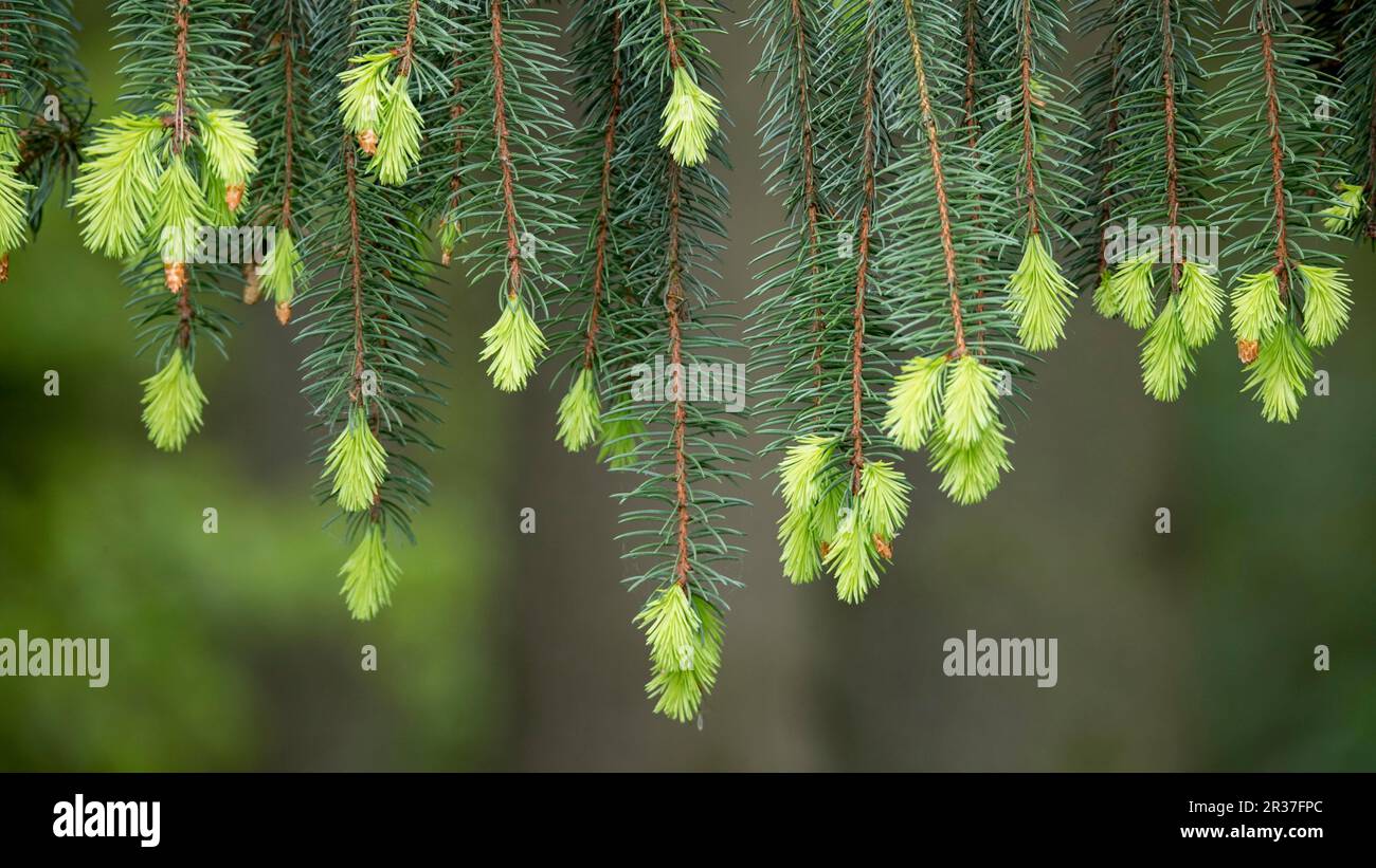 Colour contrasting hi-res stock photography and images - Alamy