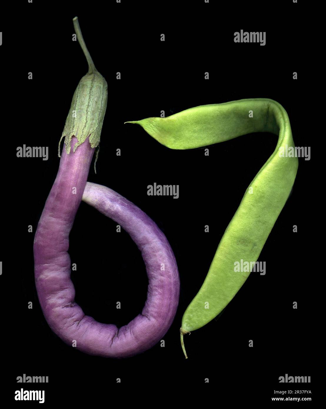 Thin green bean hi-res stock photography and images - Alamy