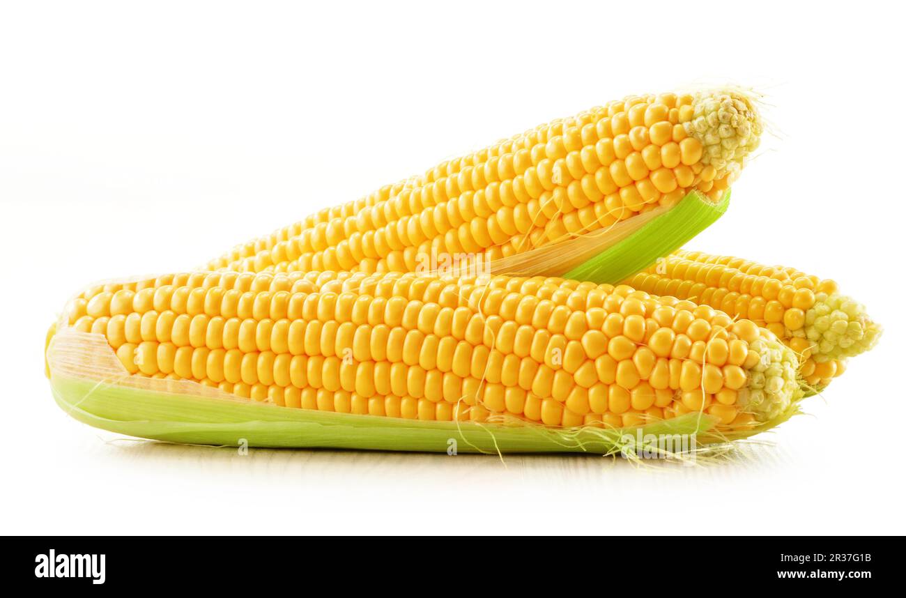 Ears corn background Cut Out Stock Images & Pictures - Alamy