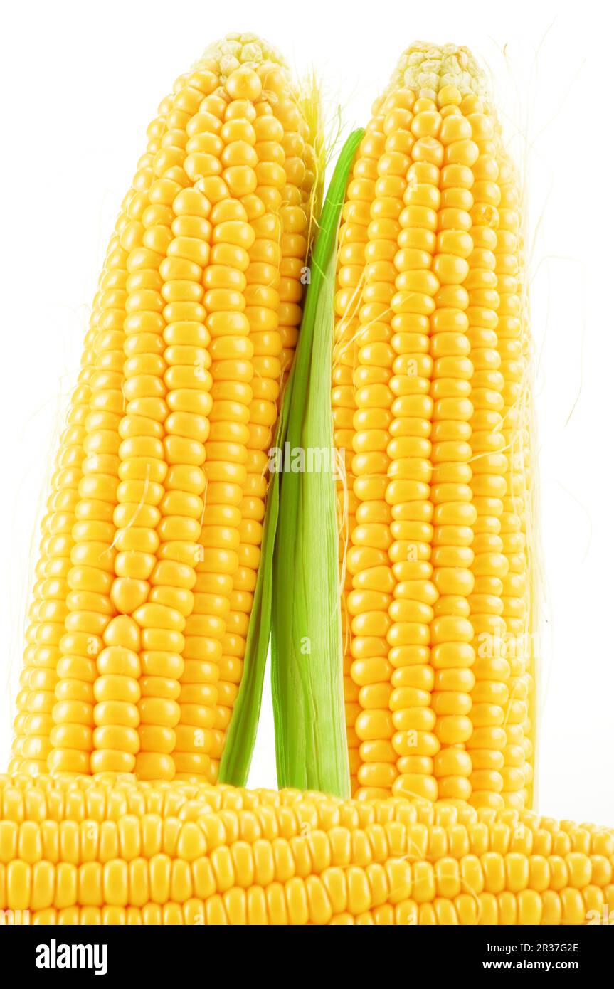Ears of corn isolated on a white background Stock Photo - Alamy