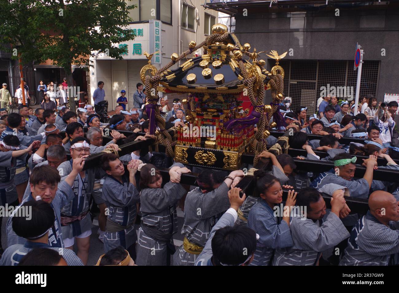 Carrying the Mikoshi (Portable Shrine) at the Sanja Festival in Asakusa ...