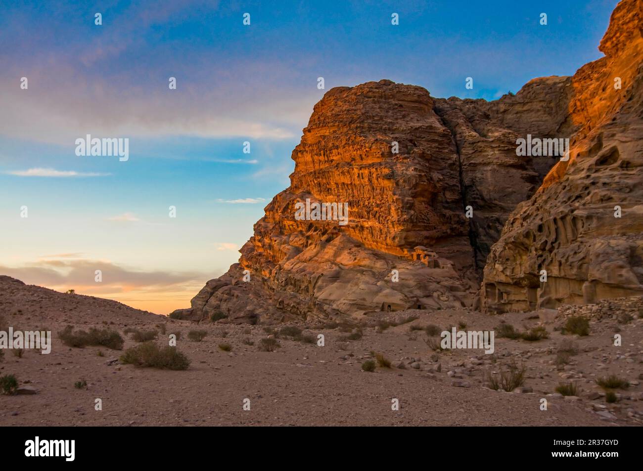 Rock vegetation near Petra in twilight, Jordan Stock Photo - Alamy