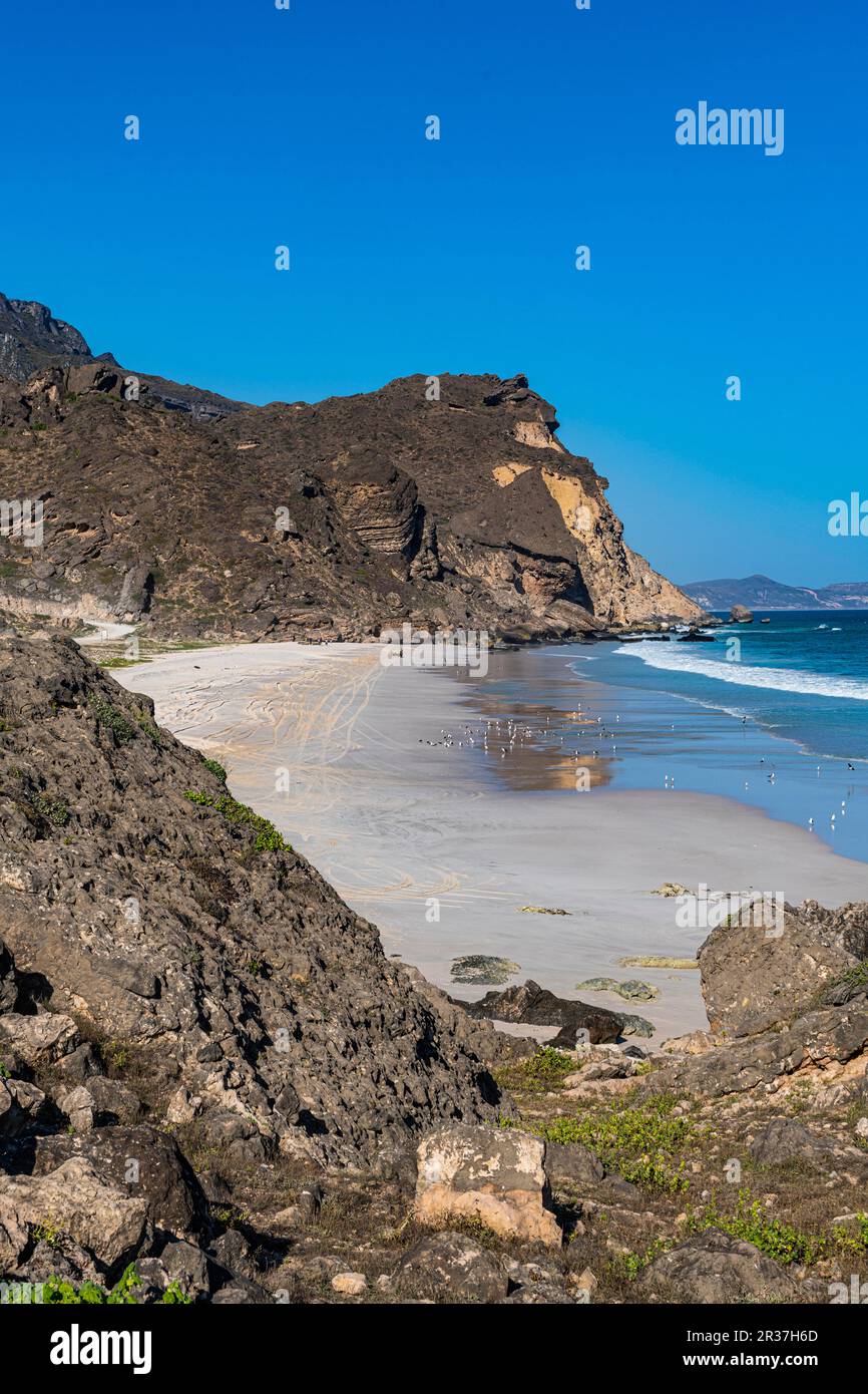 Fazayah beach, Salalah, Oman Stock Photo - Alamy