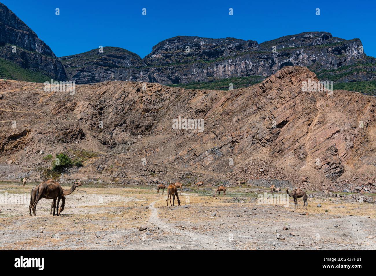Omani cliffs hi-res stock photography and images - Alamy