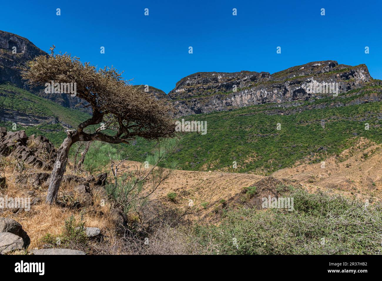 Omani cliffs hi-res stock photography and images - Alamy