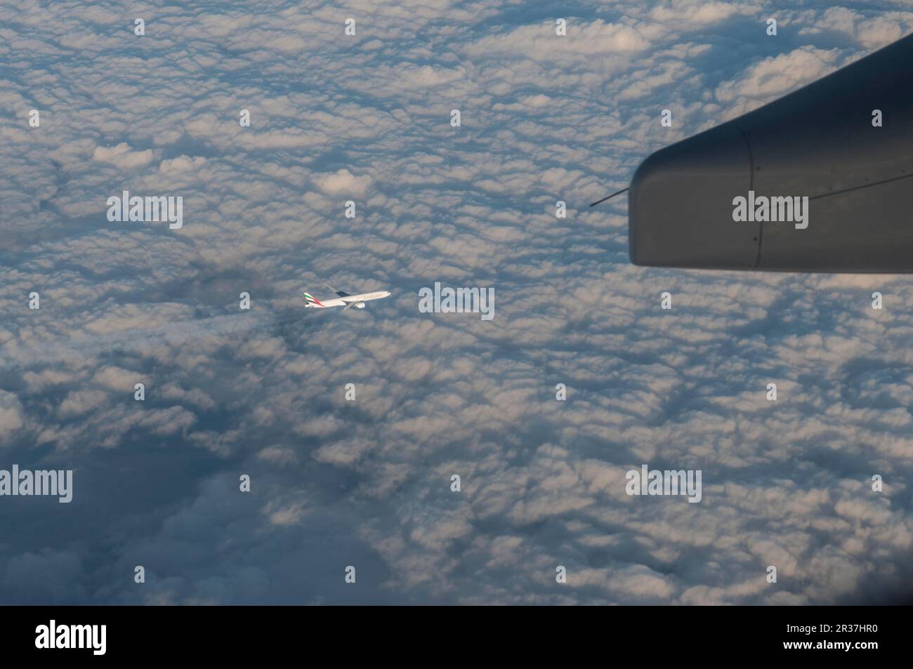 Airline of turkey hi-res stock photography and images - Alamy