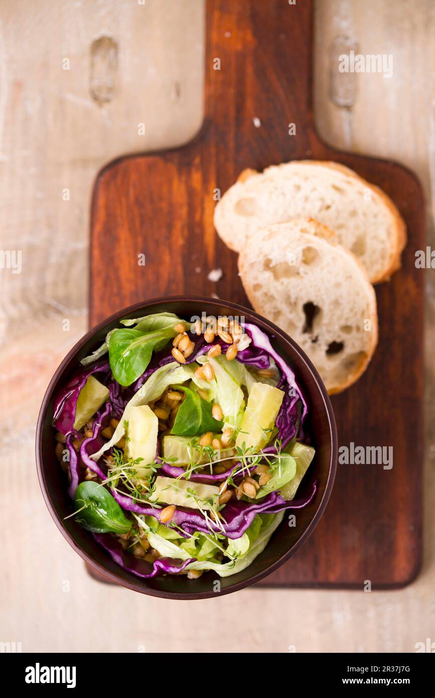 Vegan salad (einkorn, red cabbage, iceberg lettuce, lamb's lettuce ...