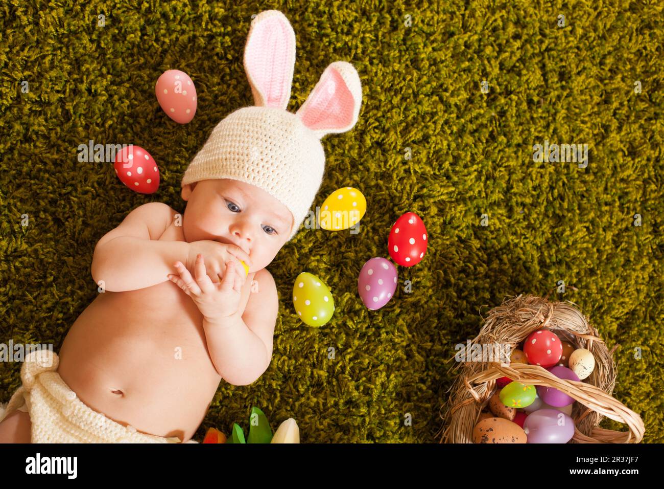 Baby Easter bunny Stock Photo - Alamy