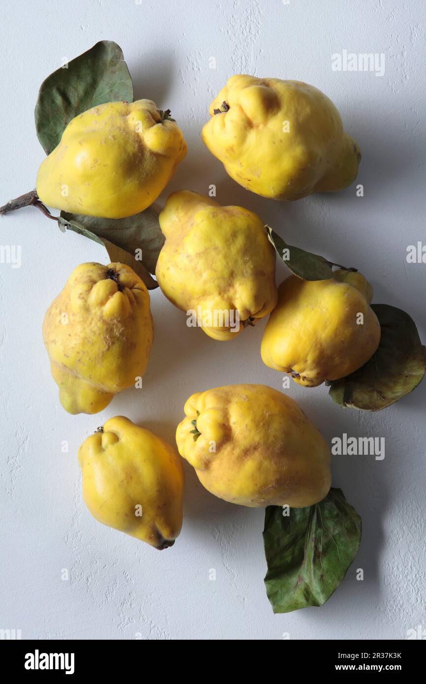 Quinces with leaves Stock Photo - Alamy