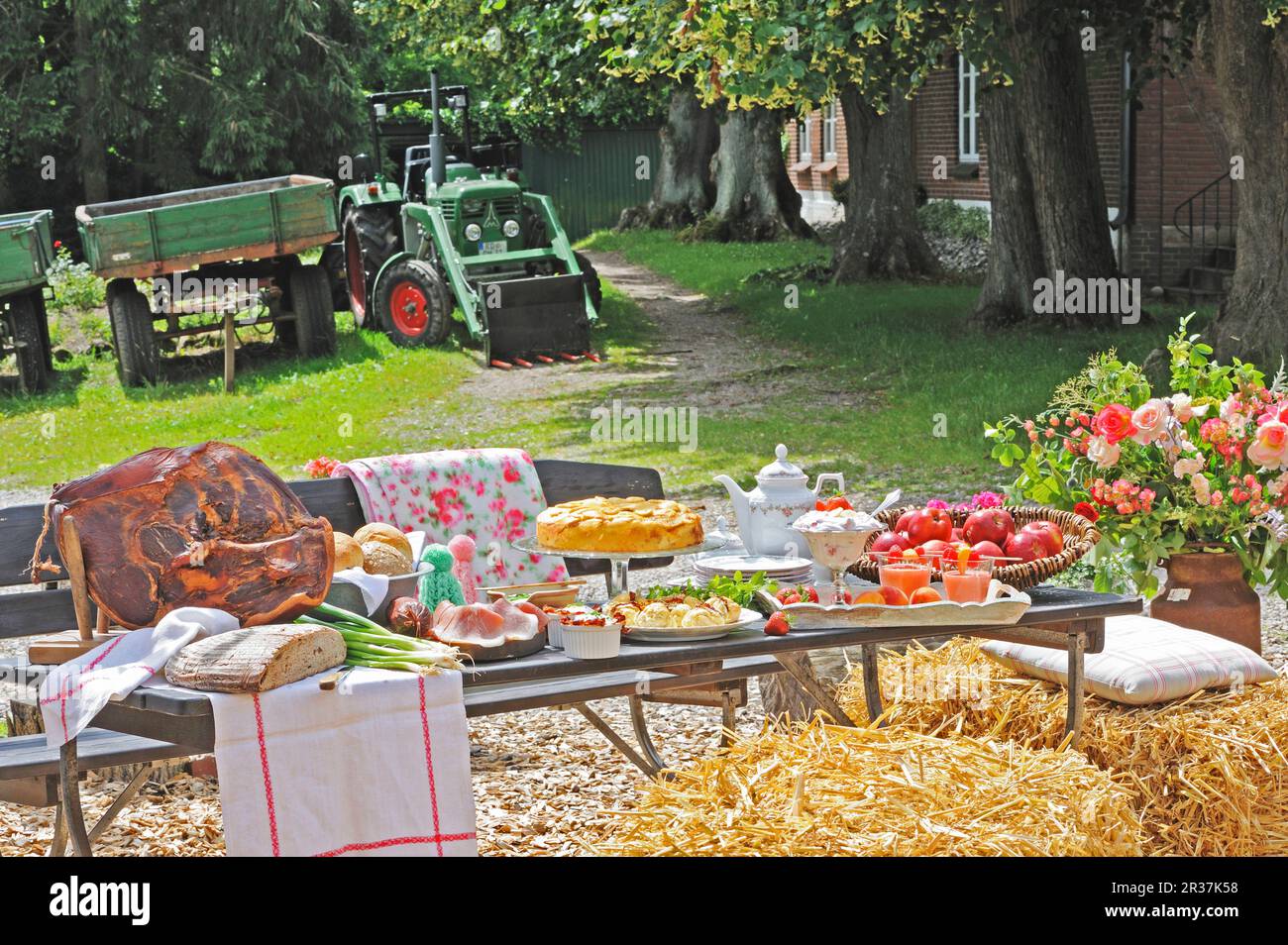 Al fresco brunch in hi-res stock photography and images - Alamy
