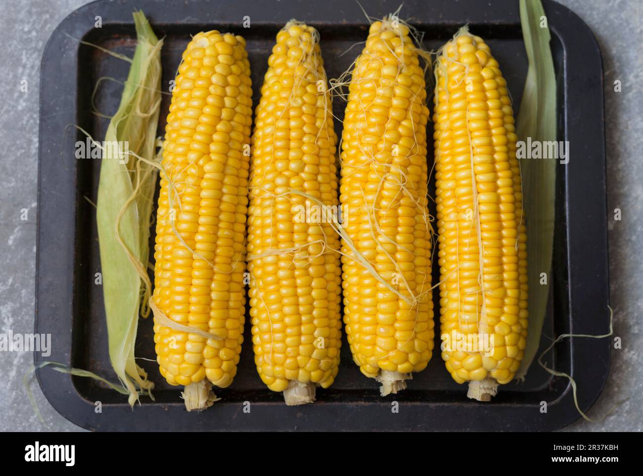 Four raw corn cobs on the stove (top view Stock Photo - Alamy