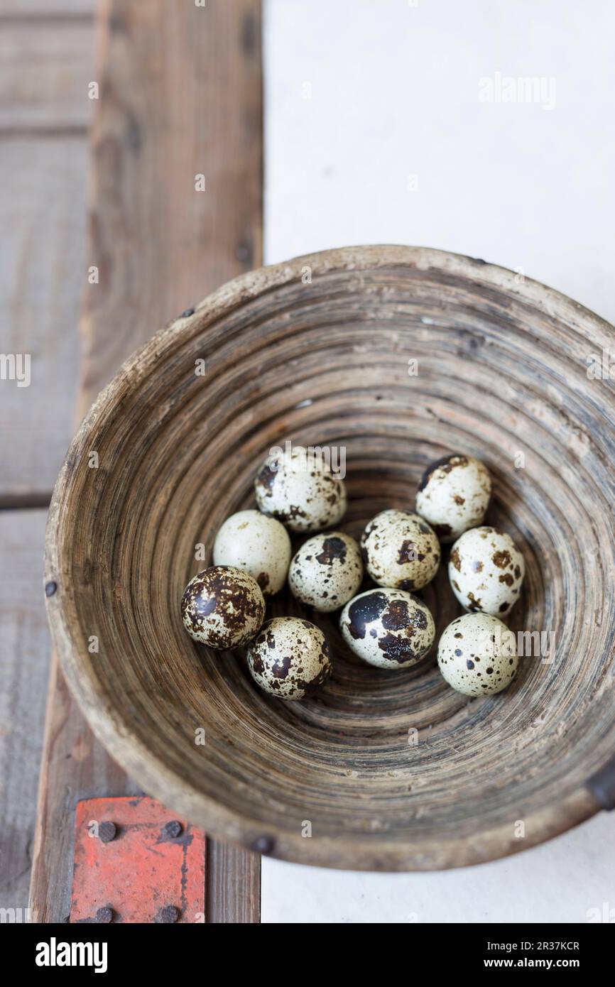 Quail eggs in a cane bowl (top view Stock Photo - Alamy