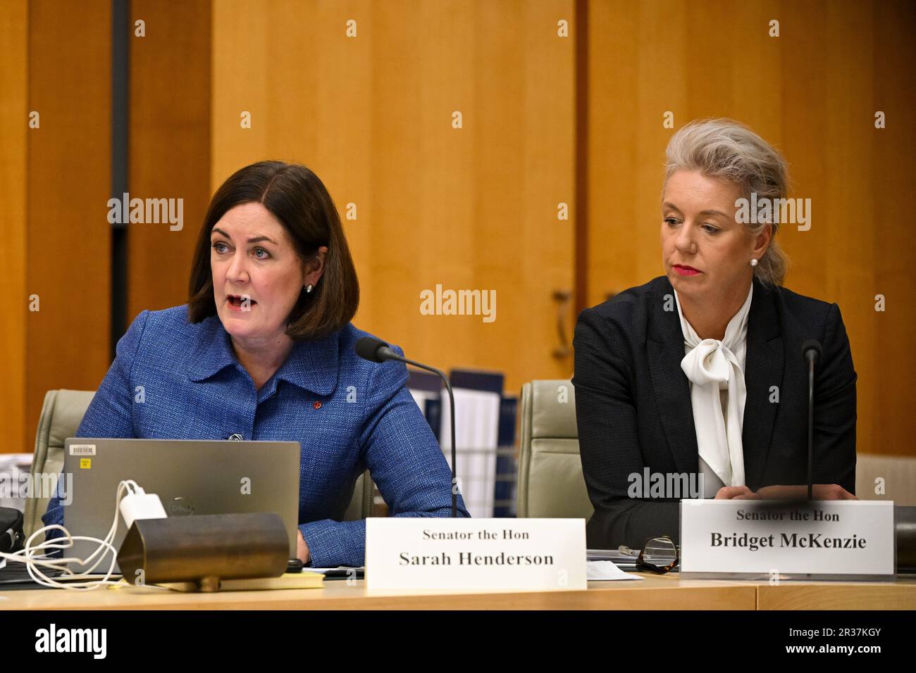 Liberal Senator Sarah Henderson speaks during Senate Estimates at ...