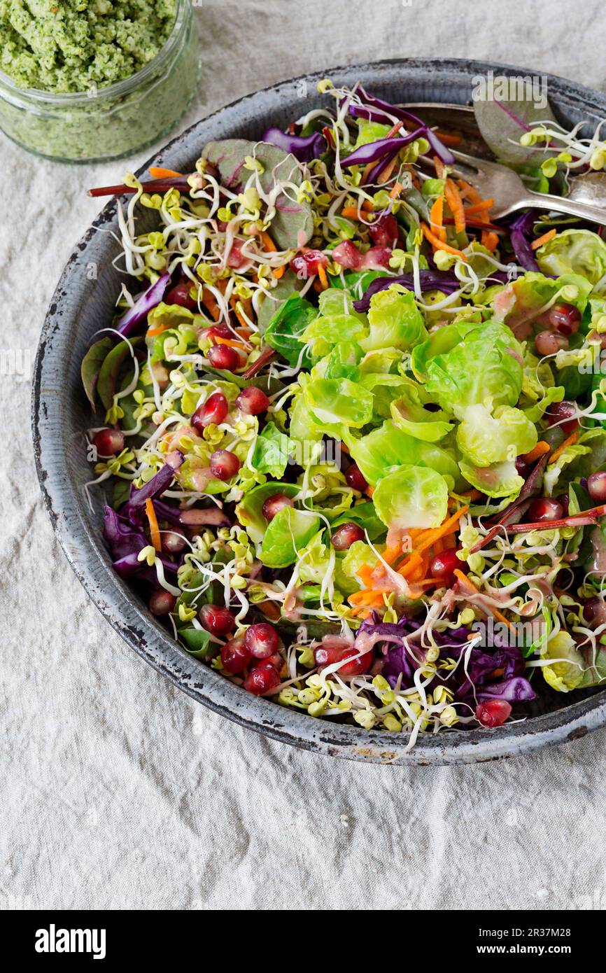 Brussels sprout salad with pomegranate seeds, lentil sprouts, carrot ...