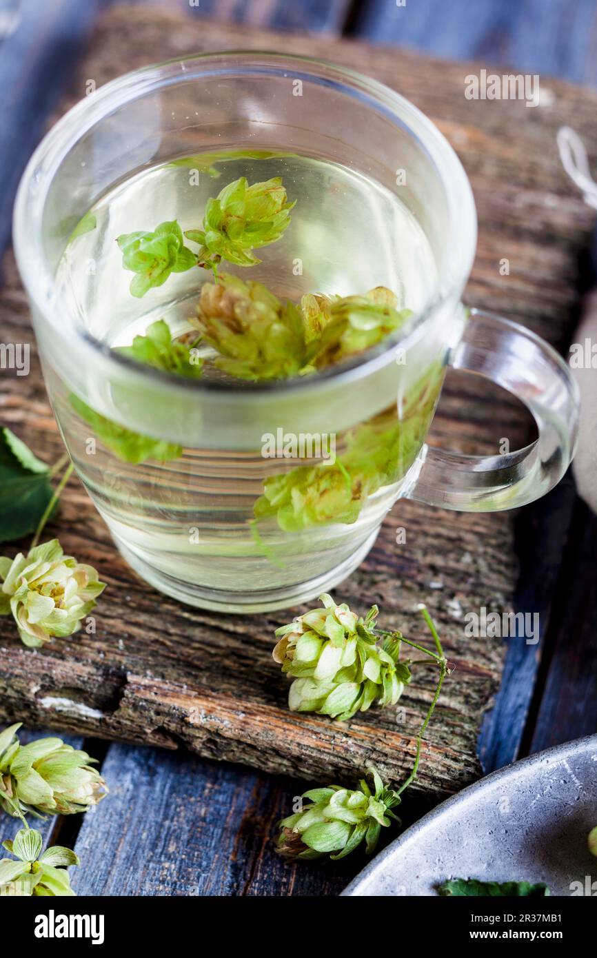 Hop tea hi-res stock photography and images - Alamy