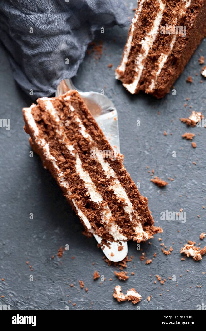 Chocolate cake with vanilla topping Stock Photo - Alamy
