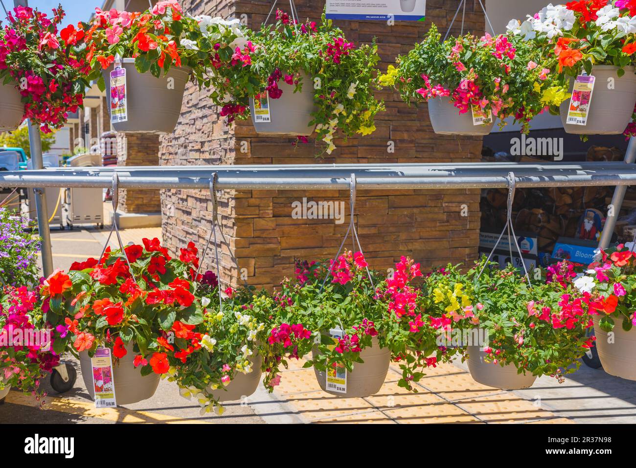 Santa Maria, California, USA - May 17, 2023. Variety of plants and ...