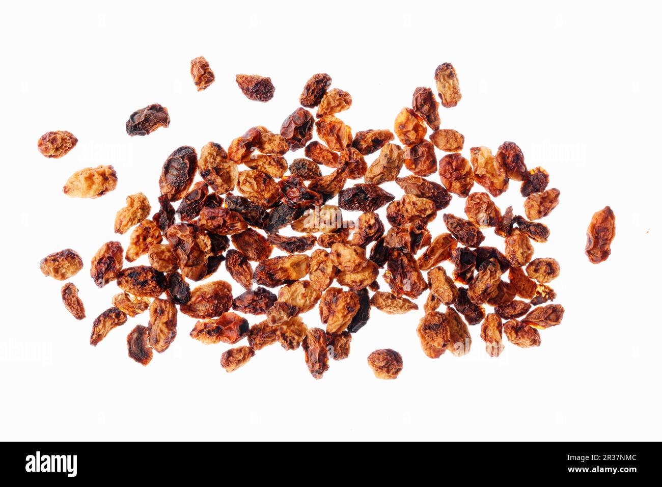 Chiloé rainforest pepper on a white background Stock Photo - Alamy