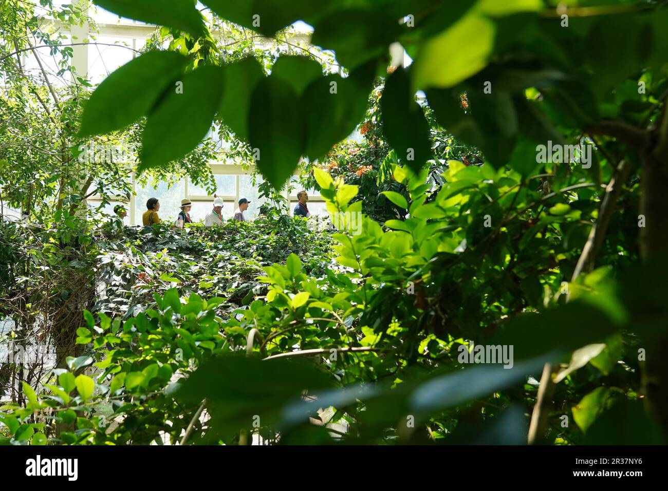 **CHINESE MAINLAND, HONG KONG, MACAU AND TAIWAN OUT** Visitors ...