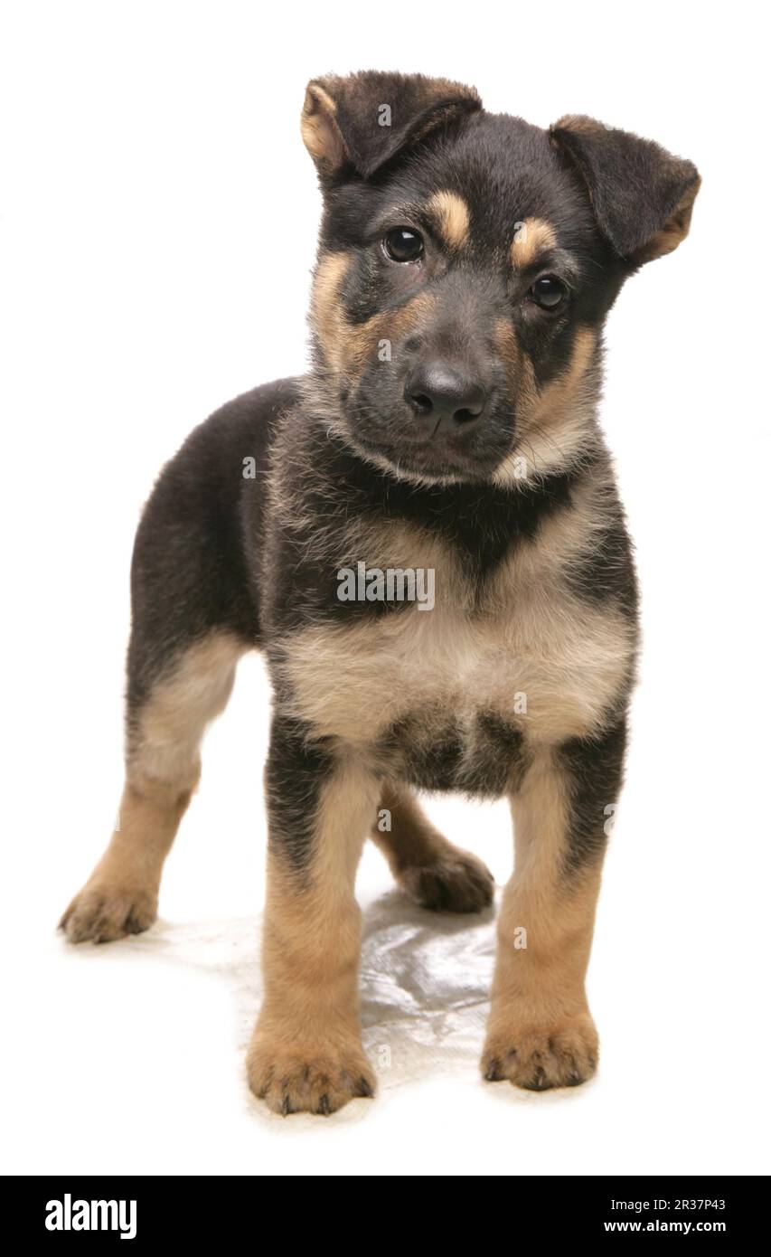 German baby Cut Out Stock Images & Pictures - Alamy