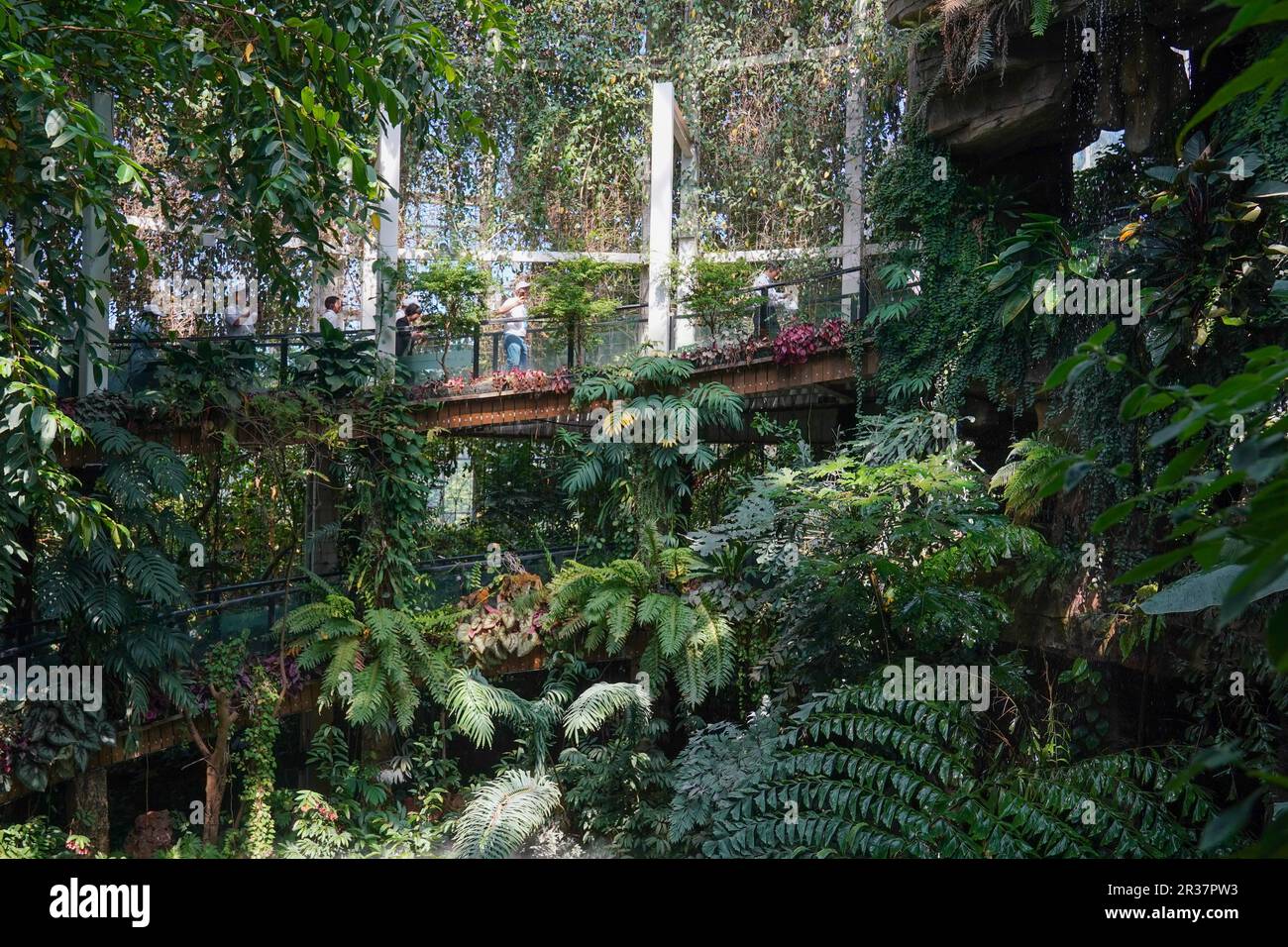 **CHINESE MAINLAND, HONG KONG, MACAU AND TAIWAN OUT** Visitors ...