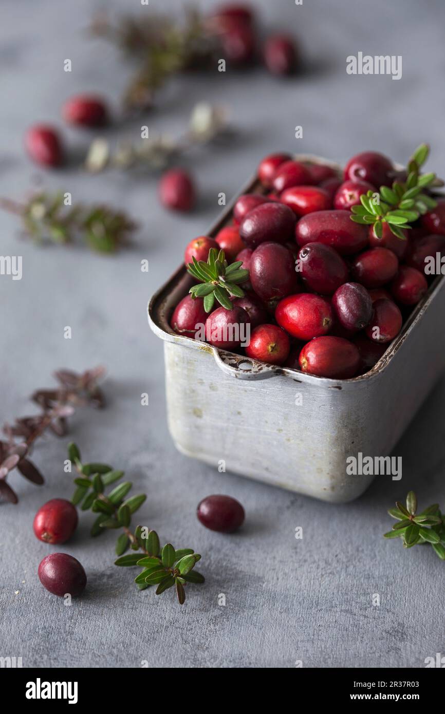 Inside of a cranberry hi-res stock photography and images - Alamy