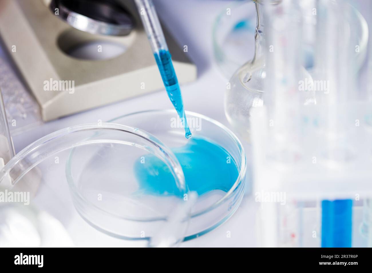 Close up chemical petri dish hi-res stock photography and images - Alamy