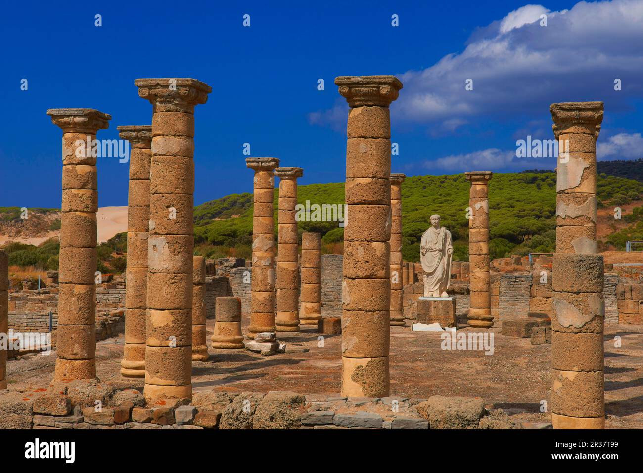 Bolonia, Baelo Claudia, Archaeological site, old roman city, Strait of ...