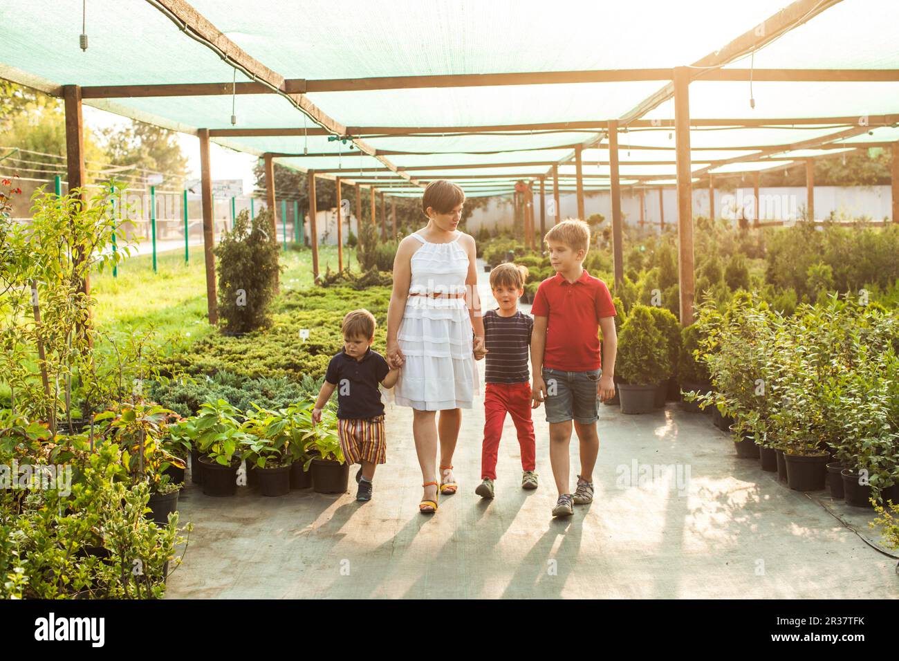 Family selection hi-res stock photography and images - Alamy