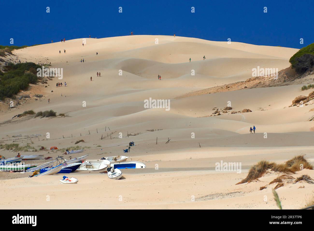 Bolonia, Beach, Dune, Strait of Gibraltar Natural Park, Costa de la Luz ...