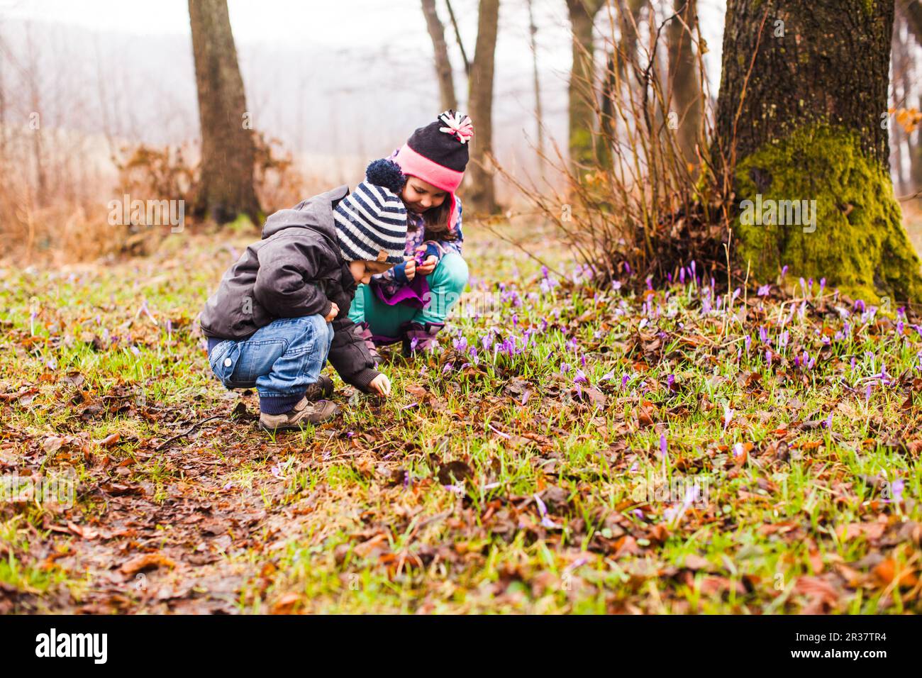 Children picking flowers hi-res stock photography and images - Alamy