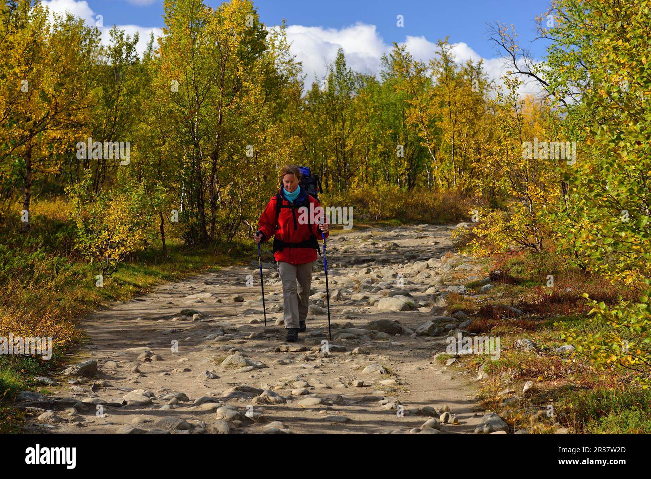 Trekking Nikkaluokta, Kebnekaise Fjaellstation, Lapland, Sweden2 Stock ...