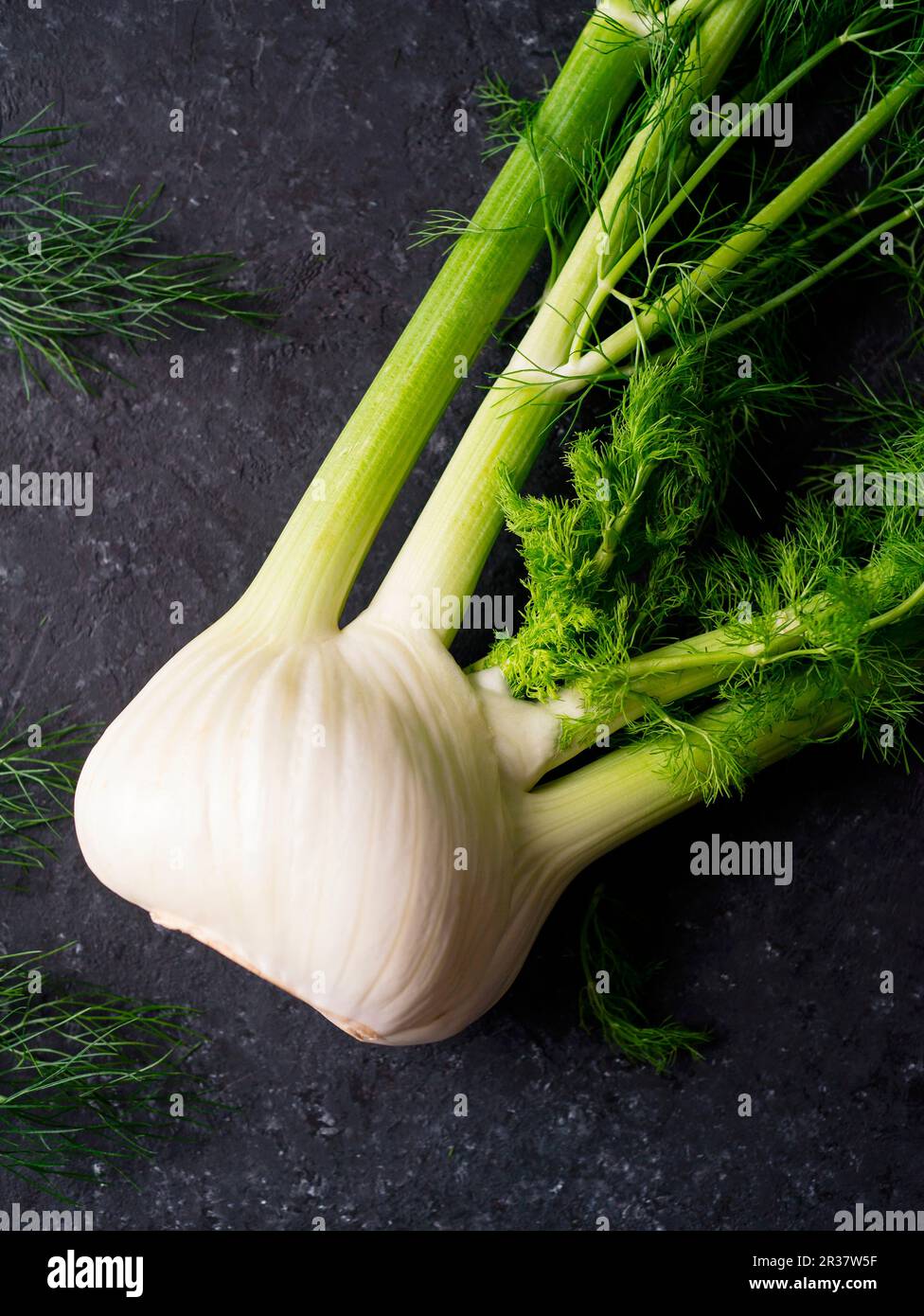 Fennel fronds hi-res stock photography and images - Alamy