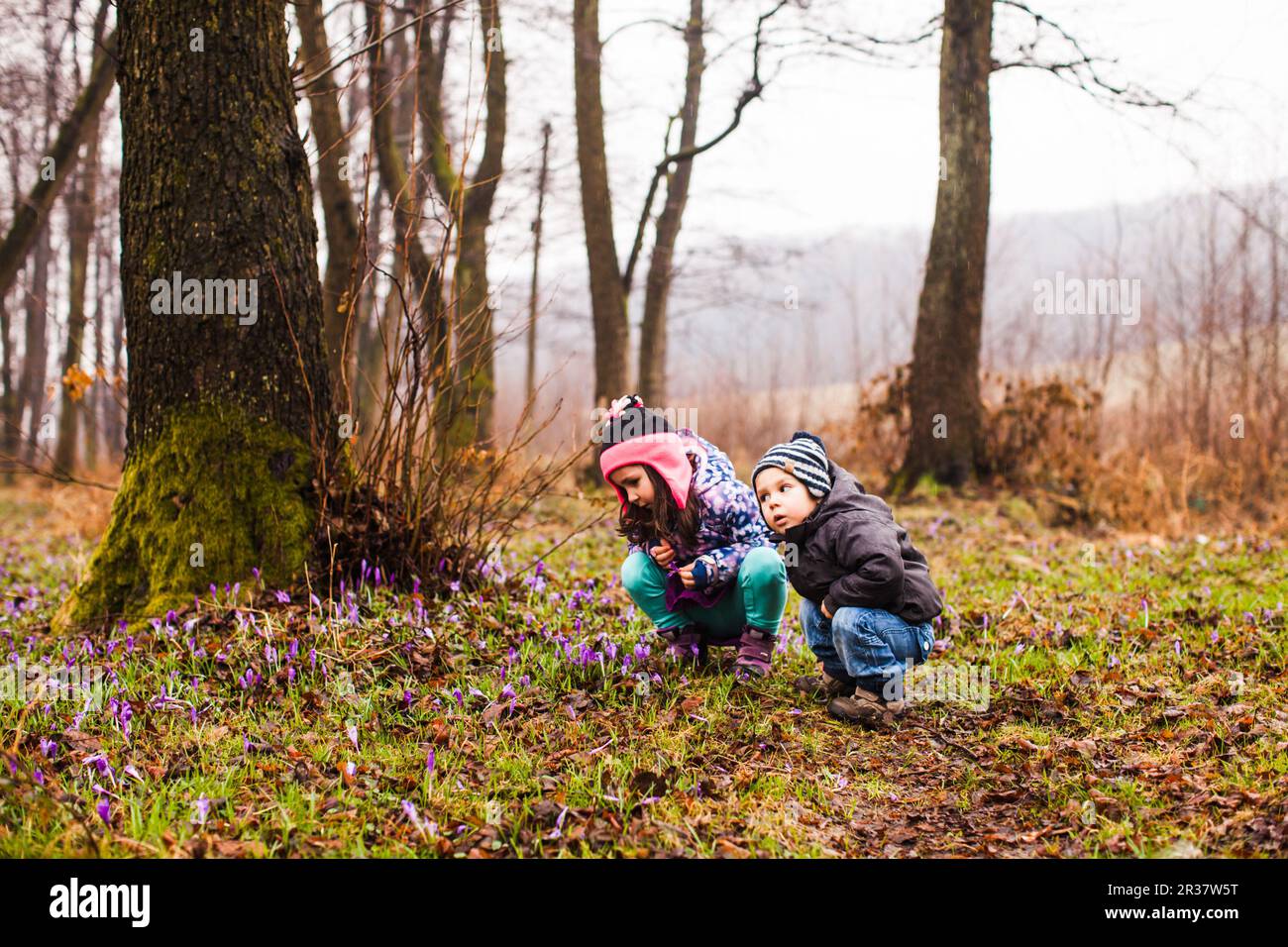 Children picking flowers hi-res stock photography and images - Alamy