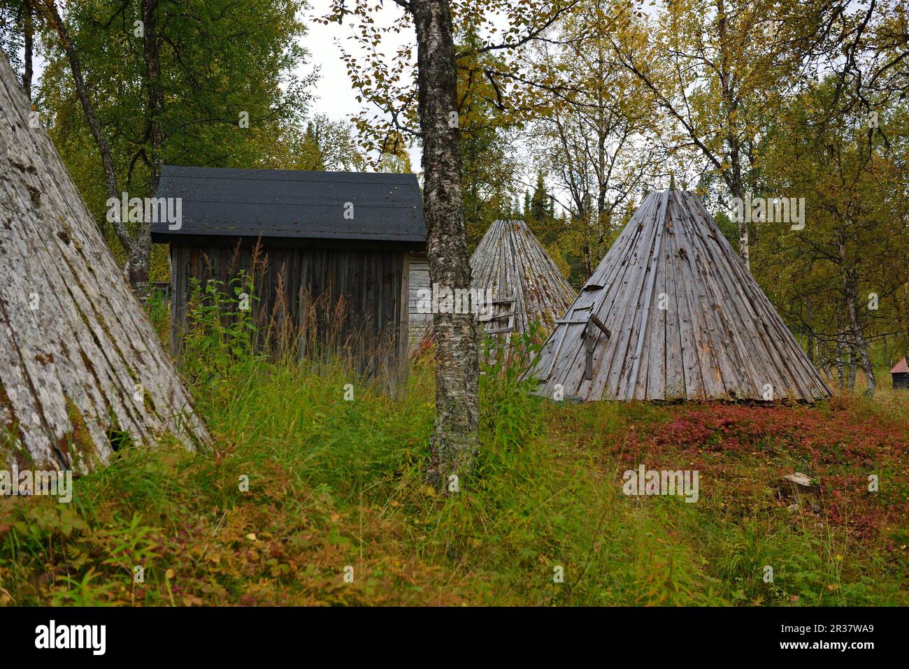 Fatmomakke (Sami church village), Vildmarksvaegen, Lapland, Sweden2 ...