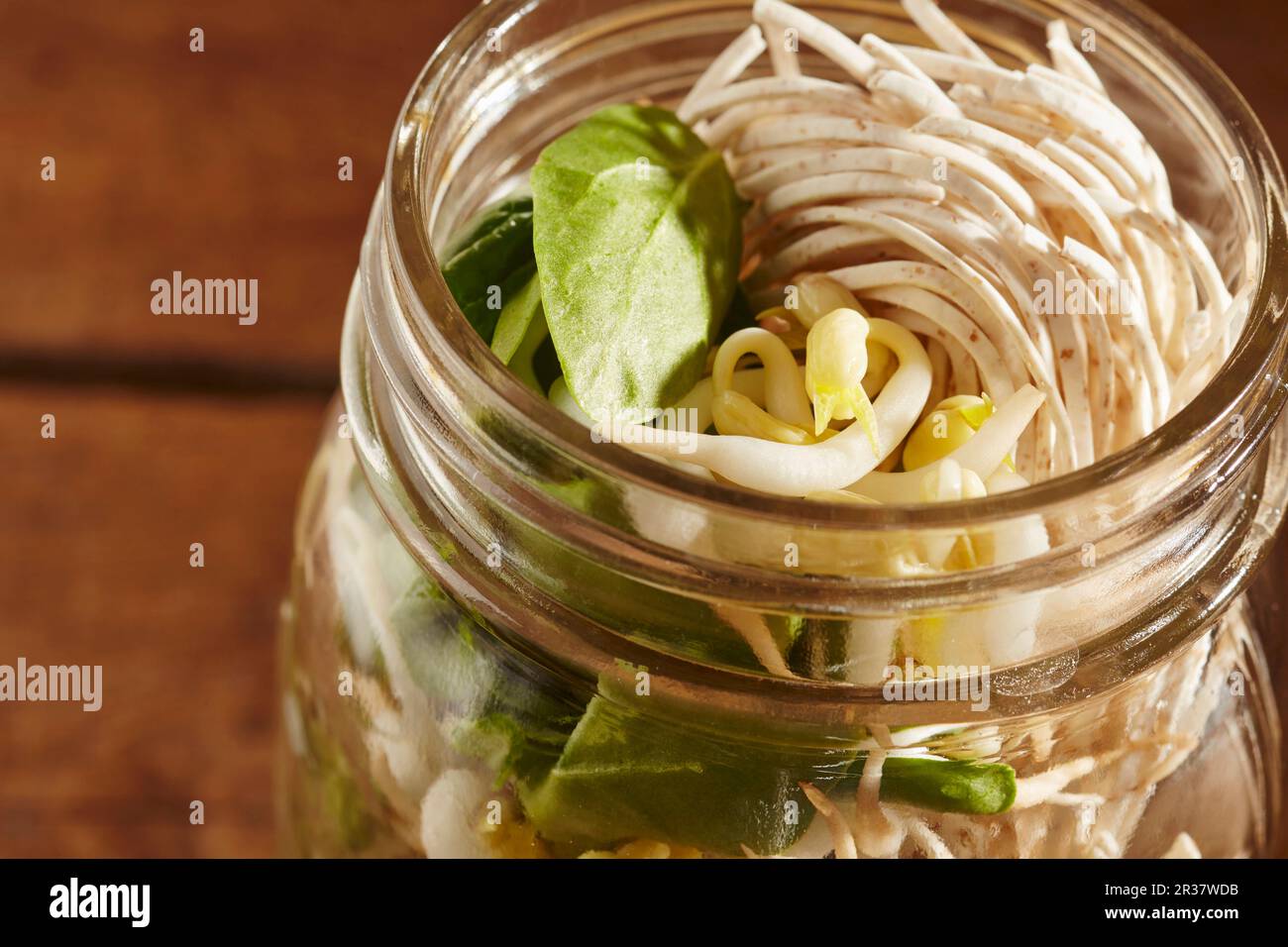 Wholegrain instant ramen with sprouts in a glass jar Stock Photo - Alamy