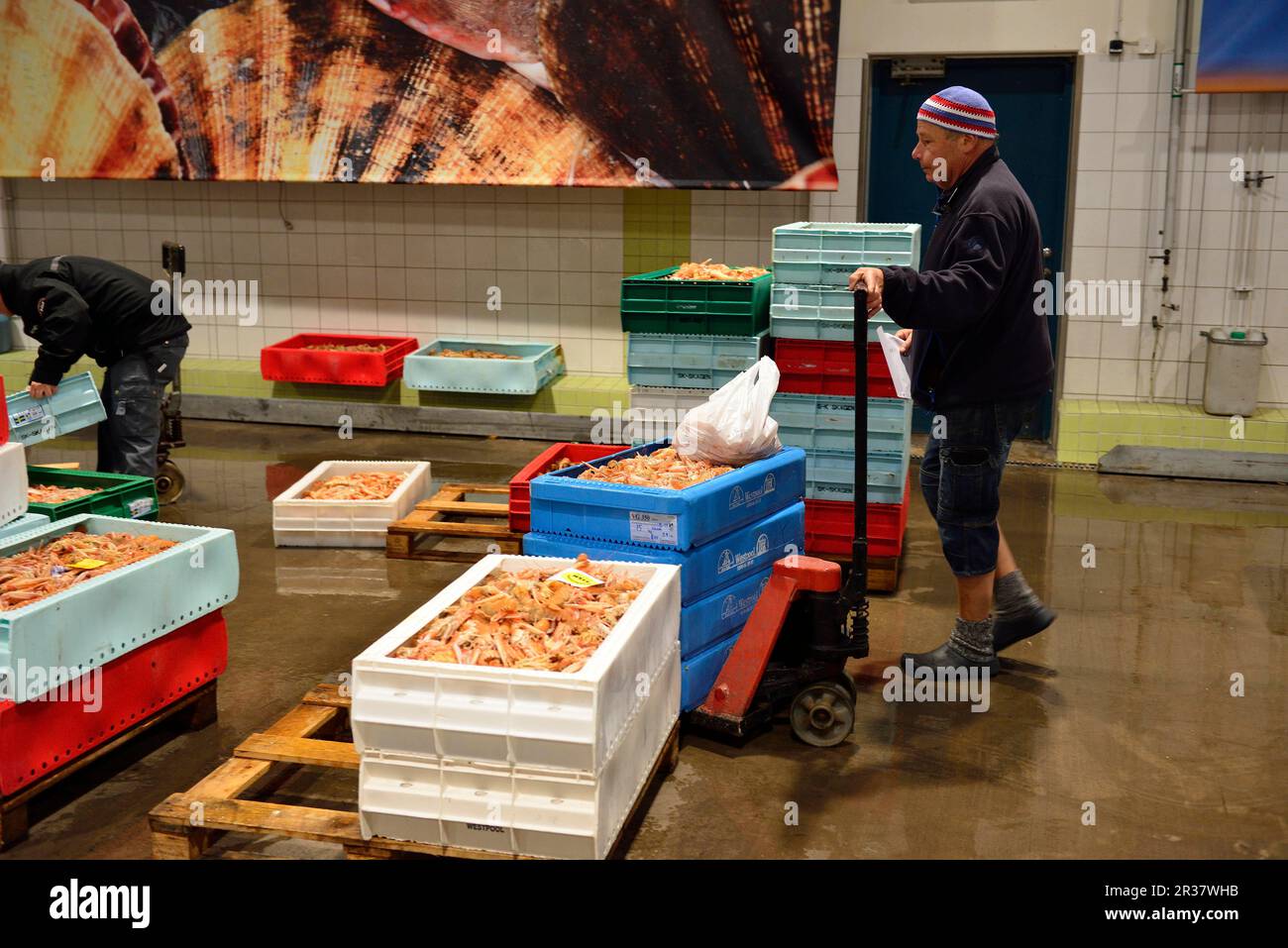 Fish auction, fish harbour, Gothenburg, Sweden2 Stock Photo - Alamy