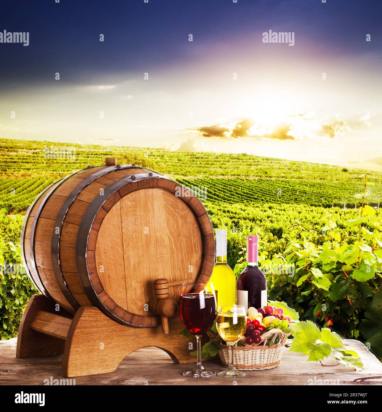 Concept of winery Stock Photo - Alamy