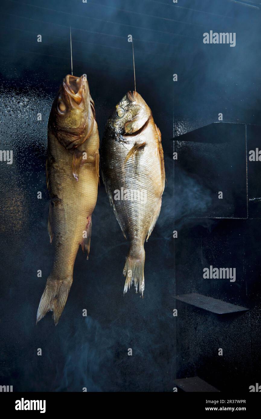 Smoked fish in a smokehouse Stock Photo - Alamy