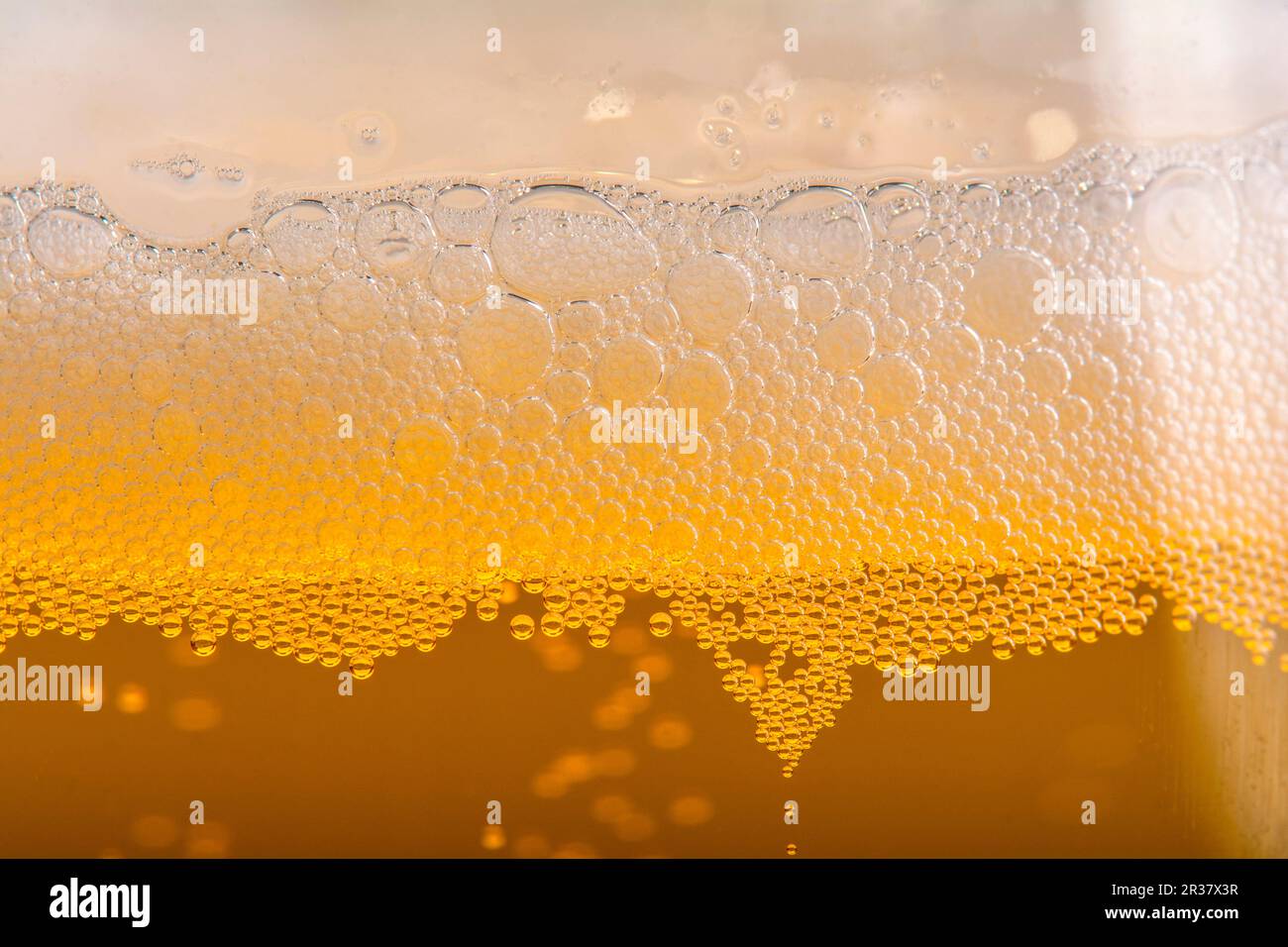 Froth filling up inside beer hi-res stock photography and images - Alamy