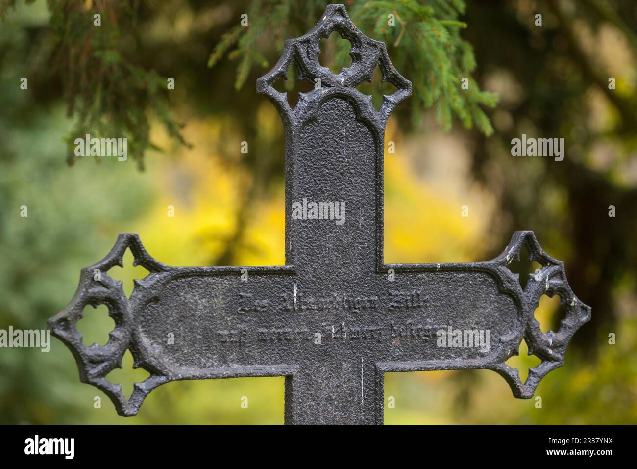 Pilgrim chapel hi-res stock photography and images - Alamy