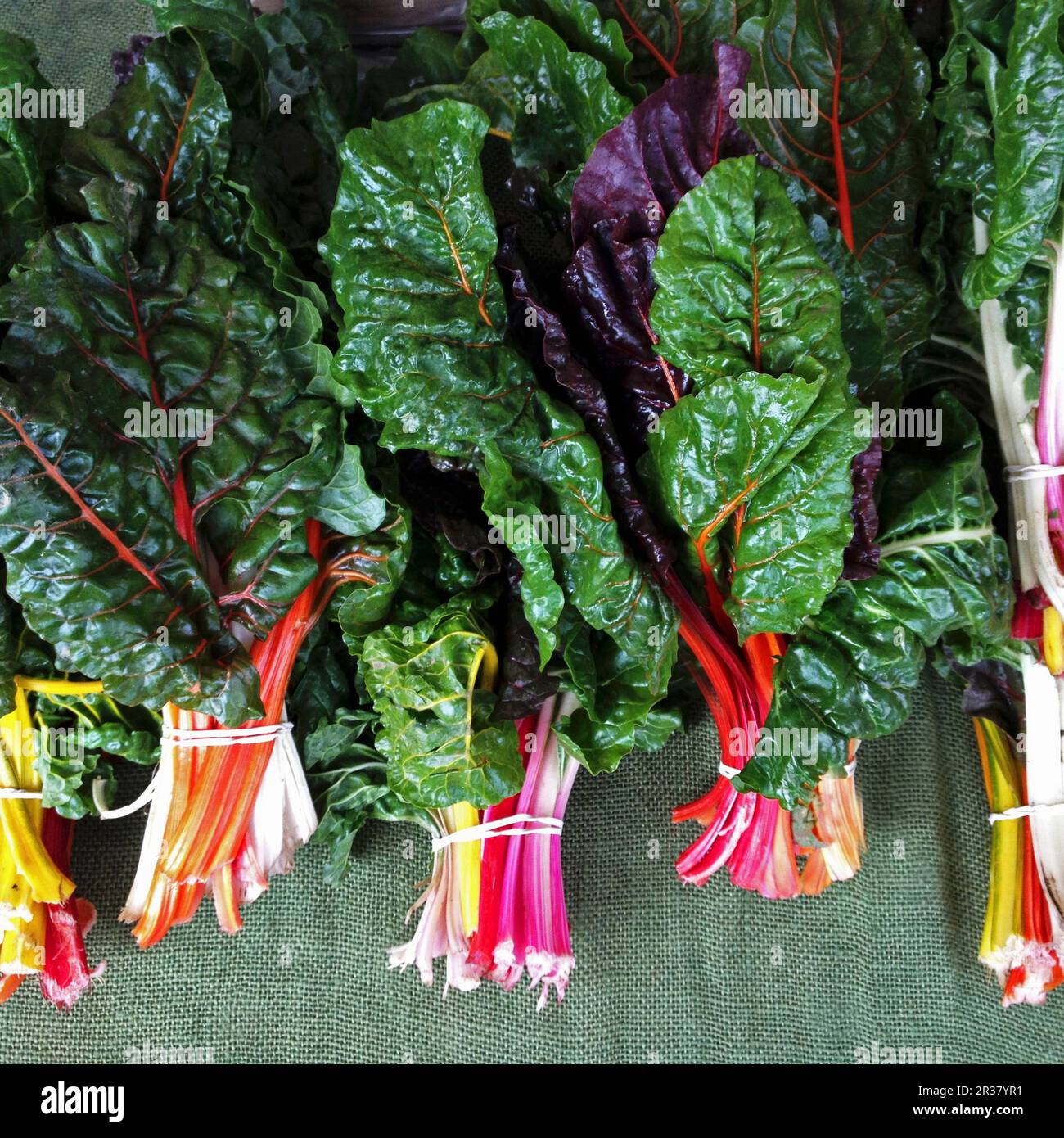 Farmers market swiss chard hi-res stock photography and images - Alamy