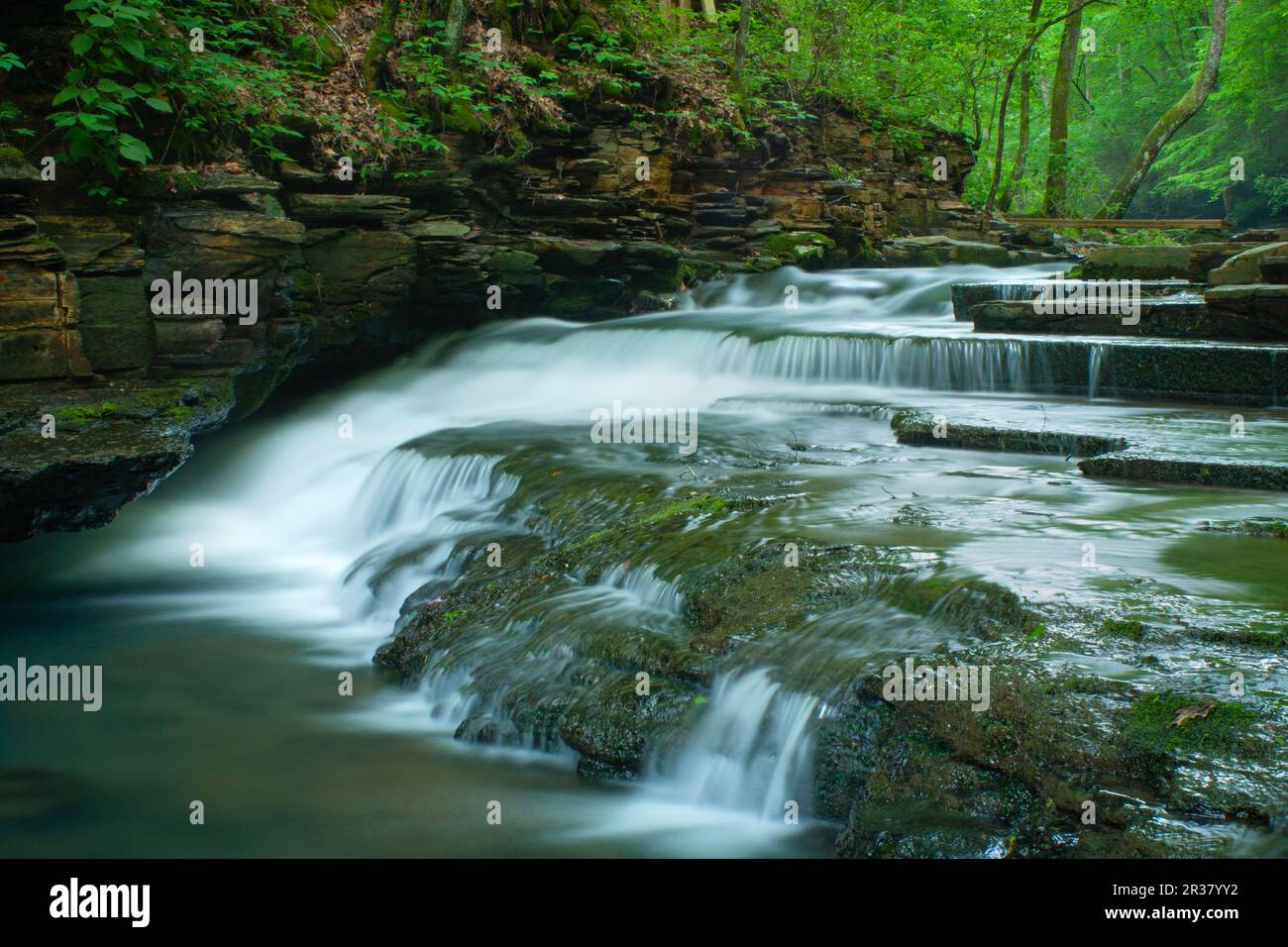 Cascades in Spring, Short Springs State Natural Area, Tennessee Stock ...