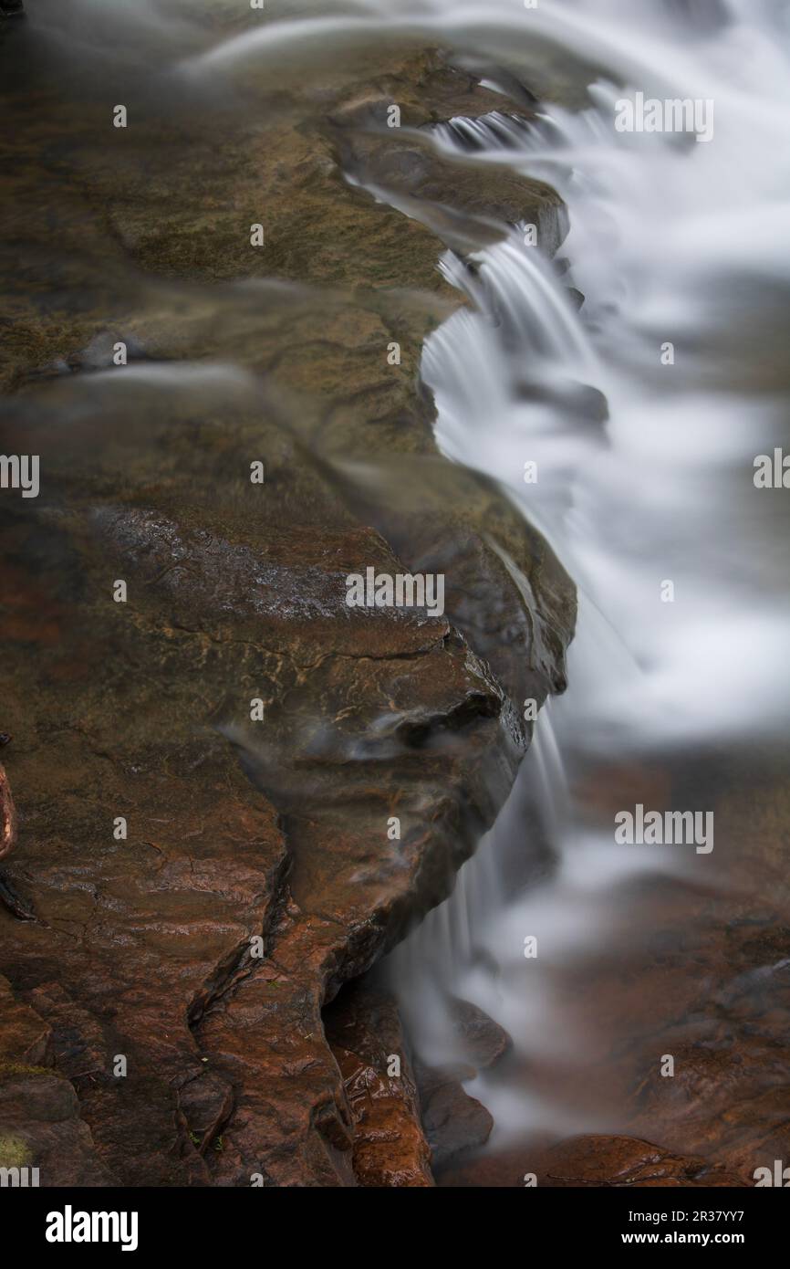 Water Detail, Grundy State Forest, Cumberland Plateau, Tennessee Stock ...
