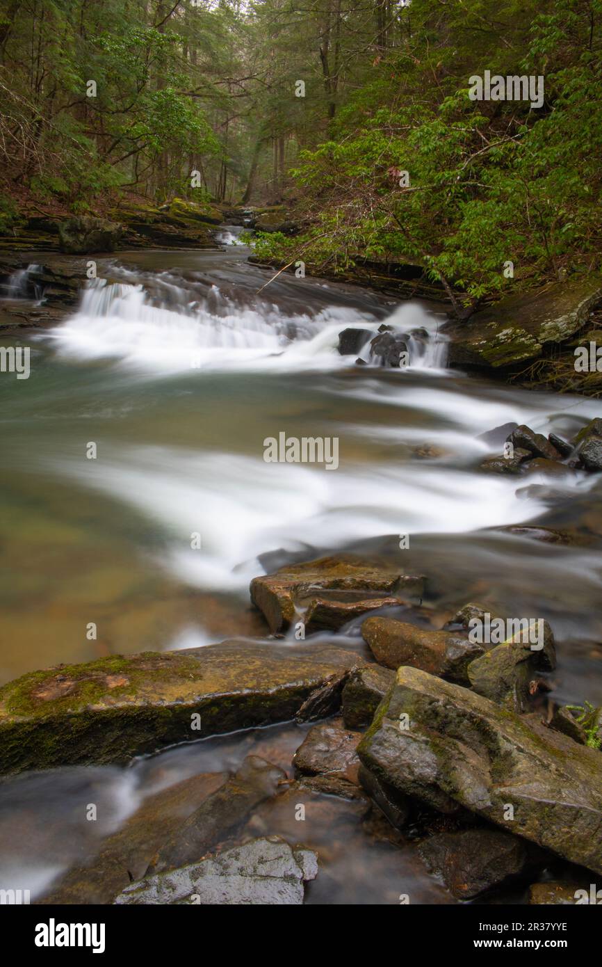 Cumberland plateau tennessee hi-res stock photography and images - Alamy