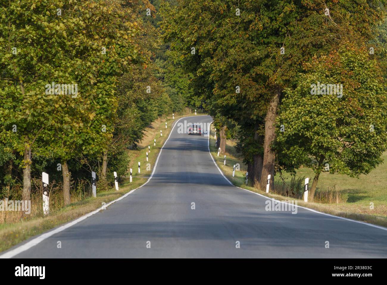 Country road through forest area Stock Photo - Alamy