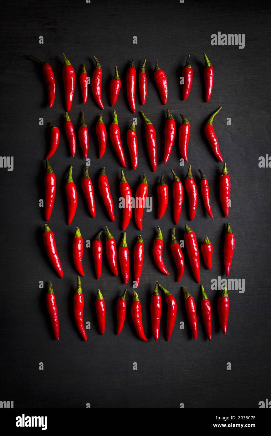 Red chilli peppers in rows against a black background (top view Stock ...